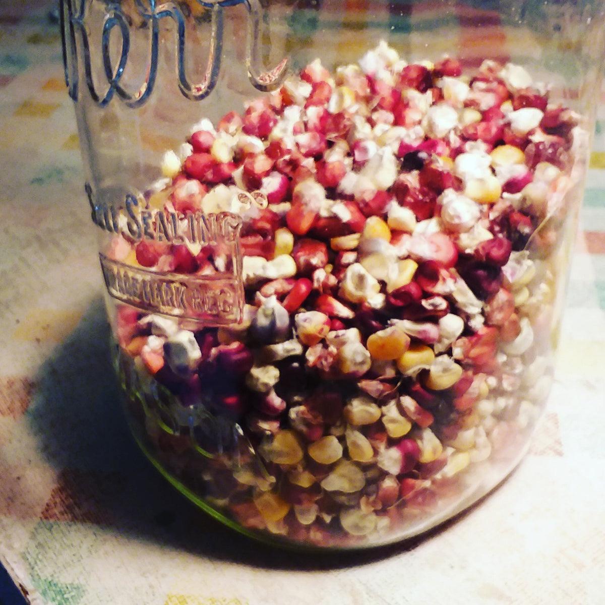 Drying down corn for storage – Giving Ground Seeds